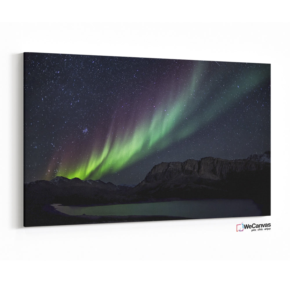 Boreal Colors— wecanvasmx