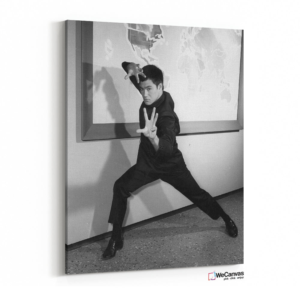 Bruce Lee - Kato— wecanvasmx
